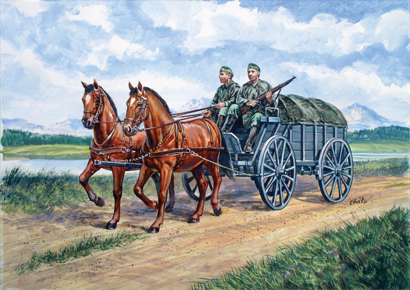 WW2 Models Australia - Models & Hobbies 4 U